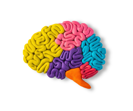 Facts and Resources to Better Serve Students with Autism | NJ Alternate ...